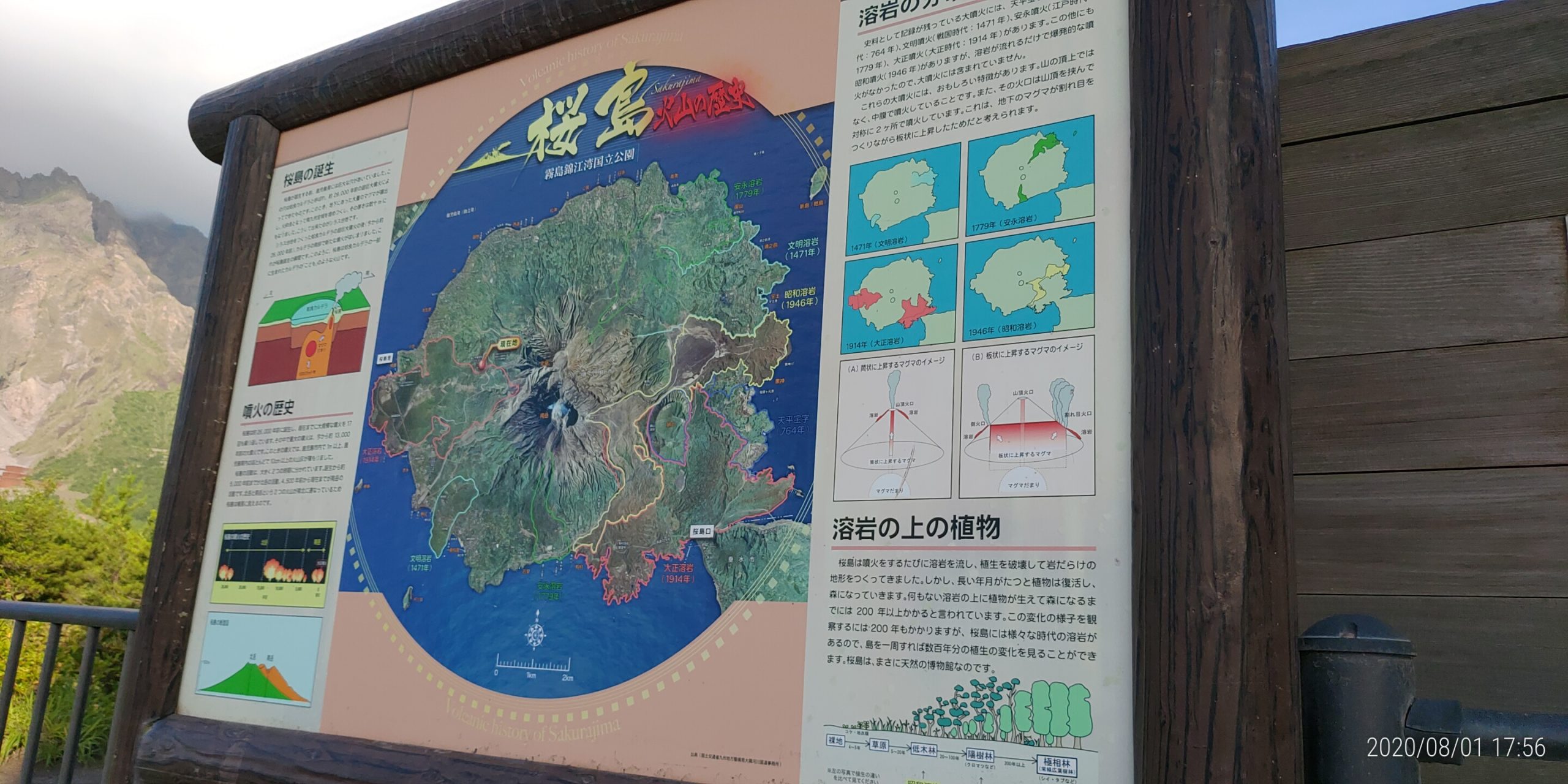 P_20200801_175620 | わいす工場